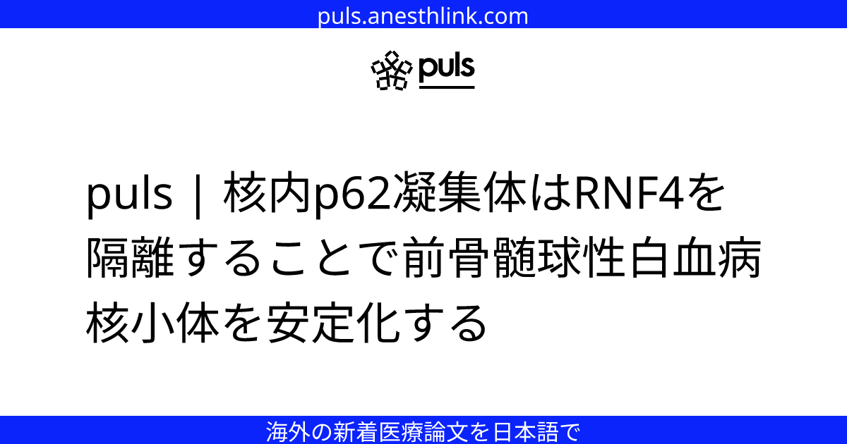puls | 核内p62凝集体はRNF4を隔離することで前骨髄球性白血病核小体を安定化する
